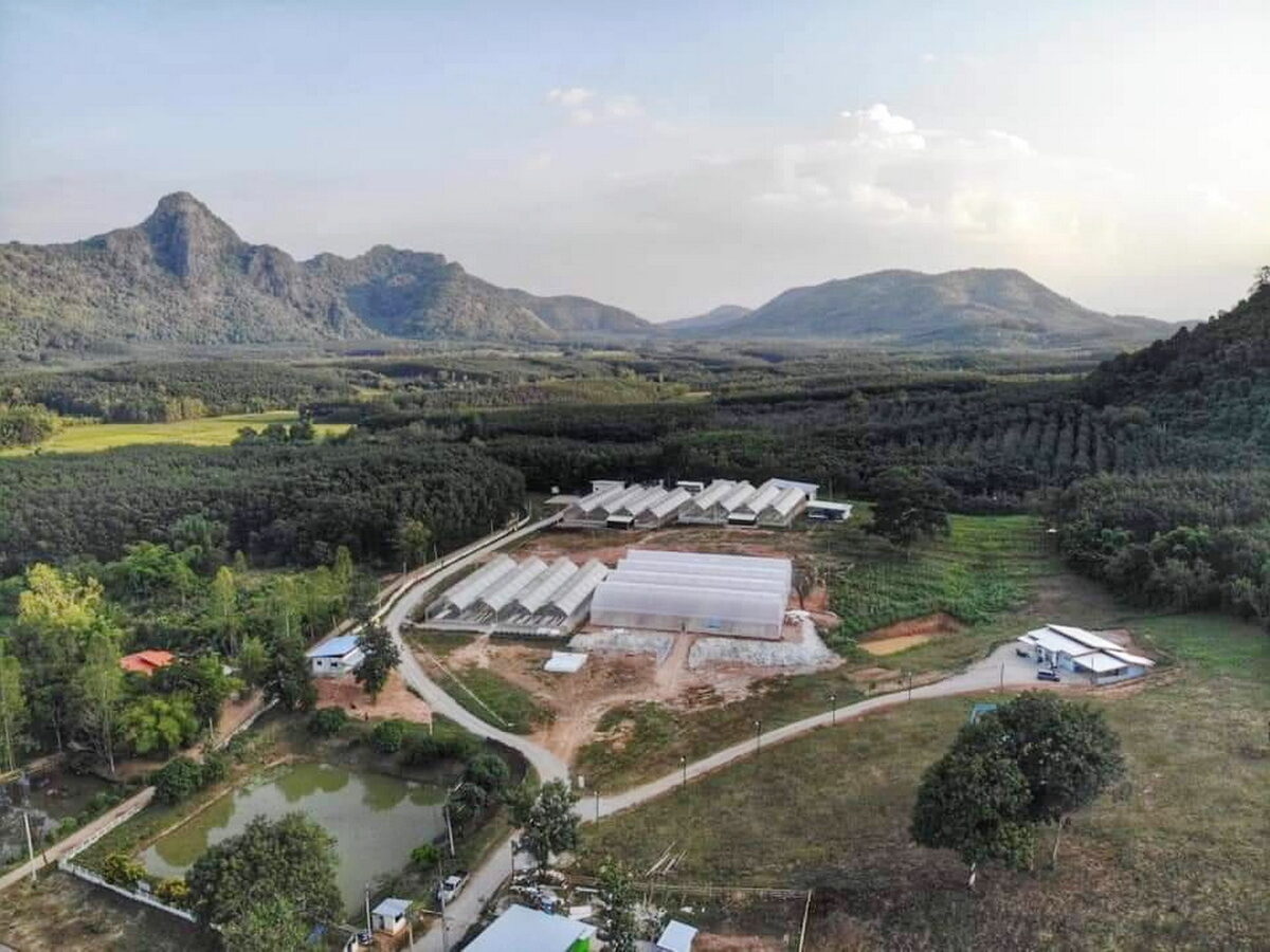 35 Rai Of Land And Commercial Hydroponic Farm For Sale In Loei ...