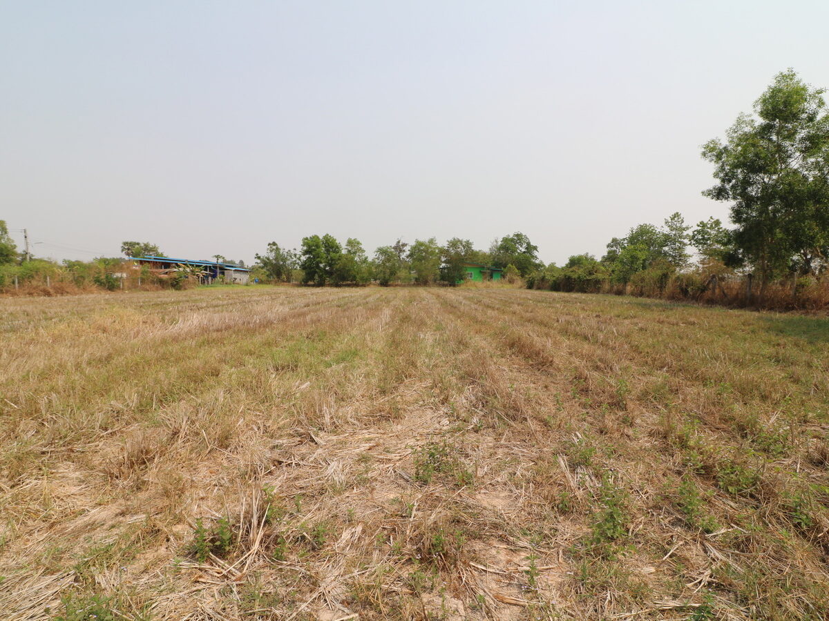 3 Rai of land with a rectangular shaped block | Thailand Real Estate ...