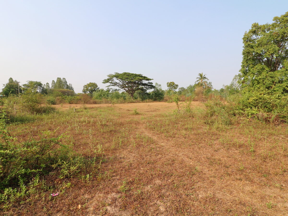This land forms part of 3 plots owned by the same owner. Why not ...